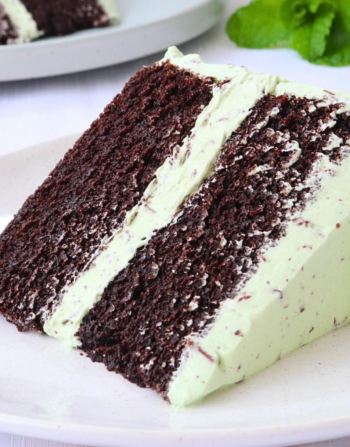 Mint Chocolate Cake (Moist & Easy!) - Cakes by MK